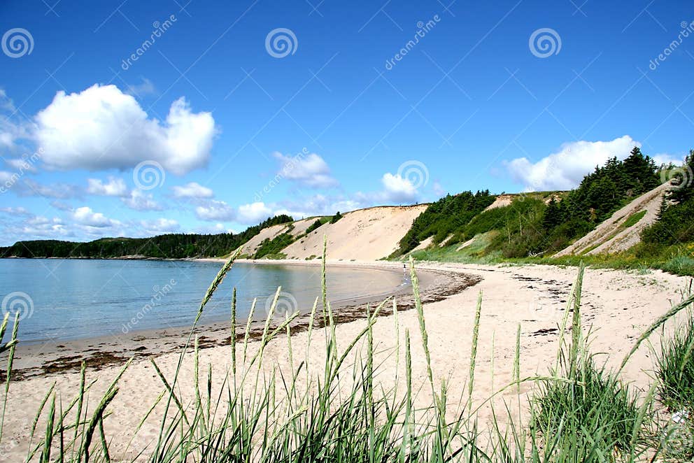 Sandy Beach in Rural Newfoundl Stock Photo - Image of newfoundland ...