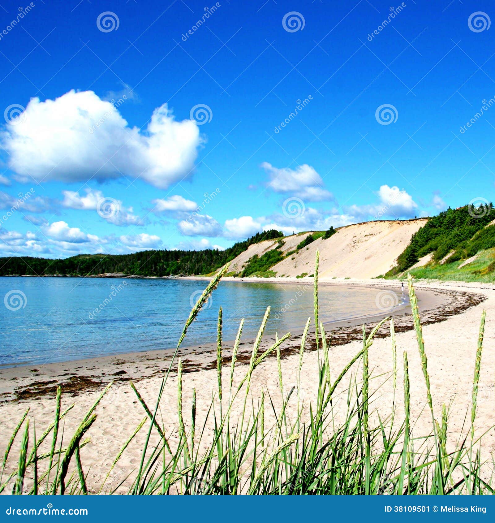 Sandy Beach in Rural Newfoundland Stock Image - Image of grass, blue ...