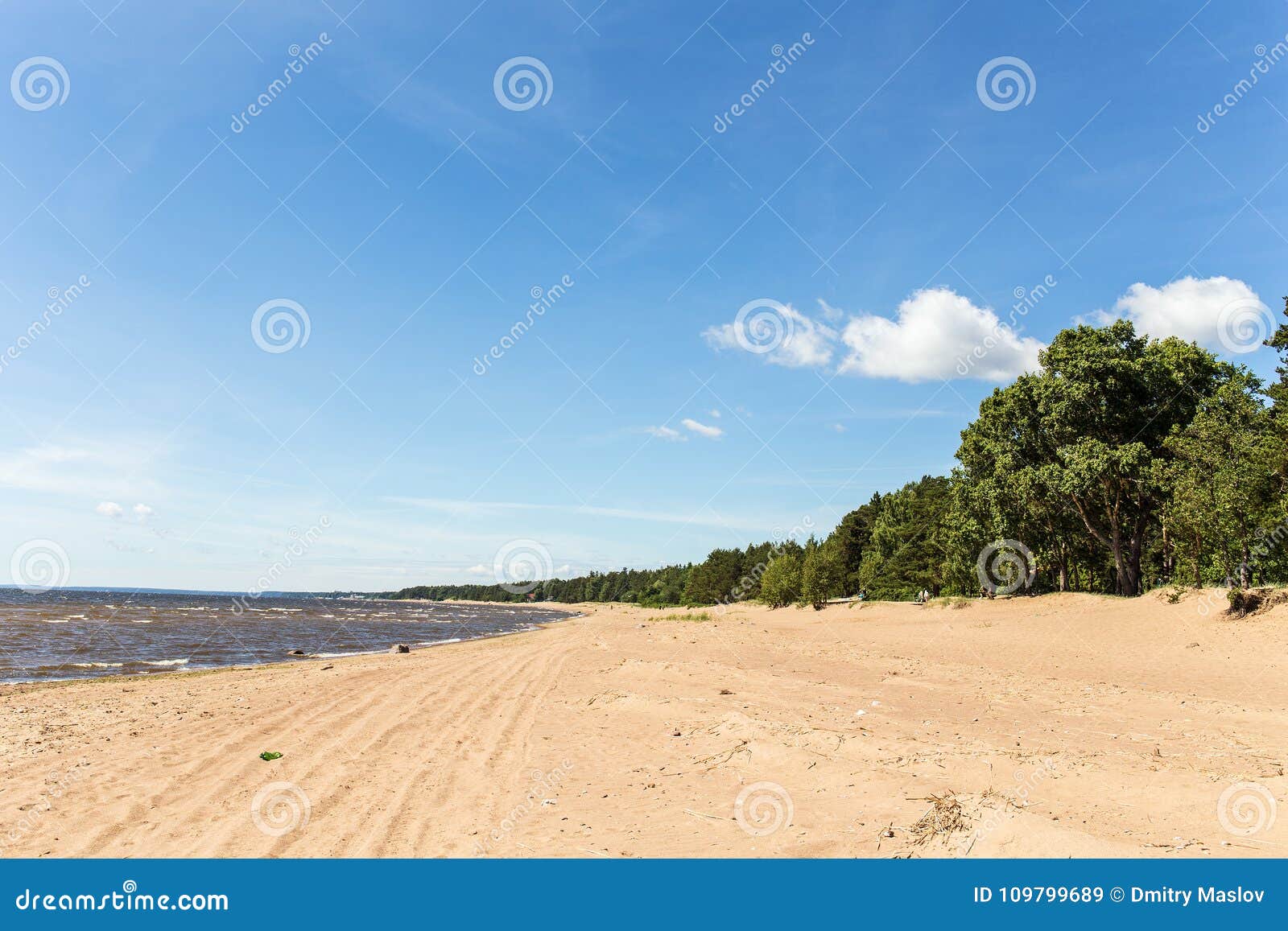 Beach with forest stock image. Image of outdoor, green - 109799689