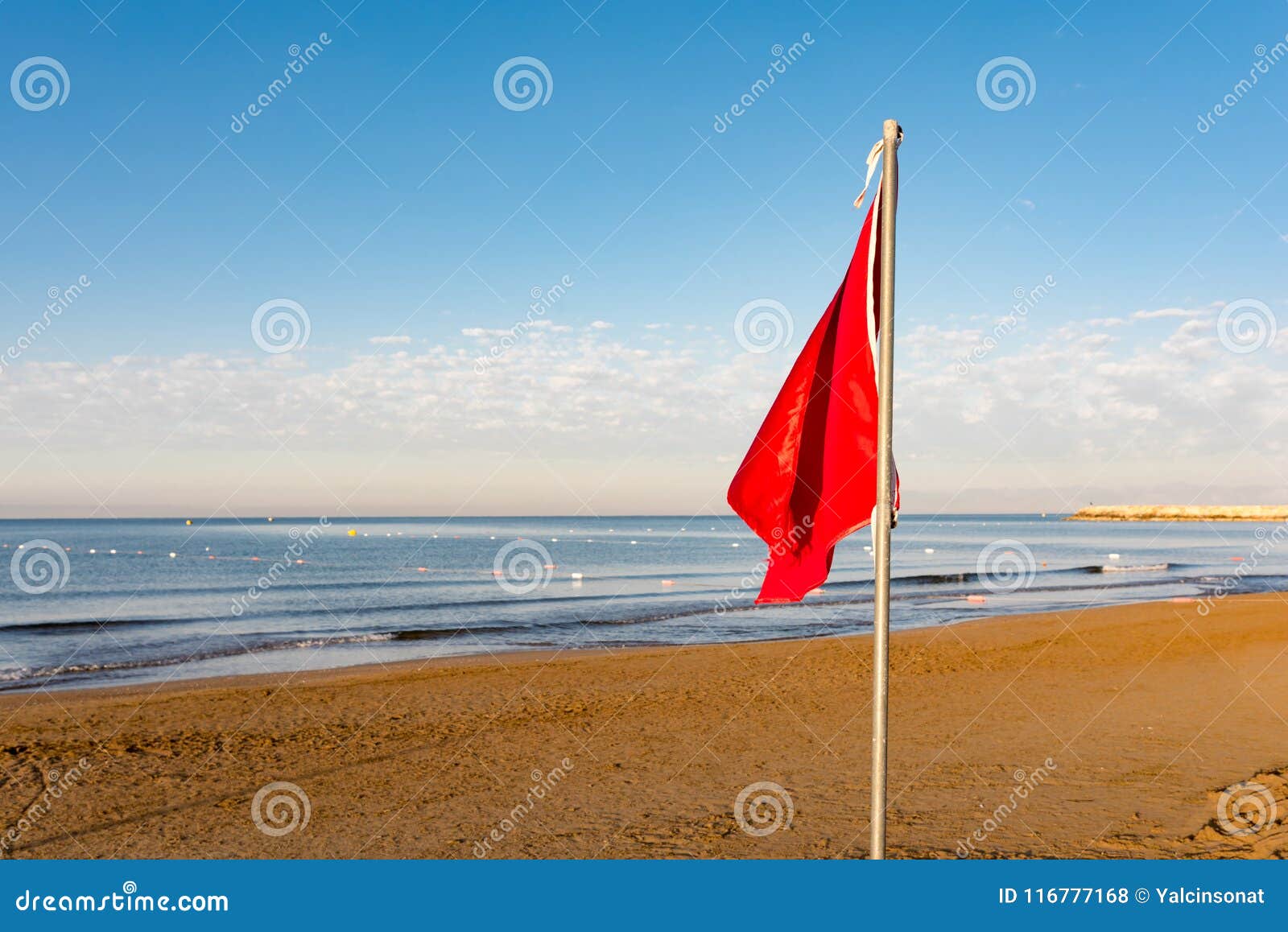 Sandy beach seaside stock photo. Image of seaside, desert - 116777168