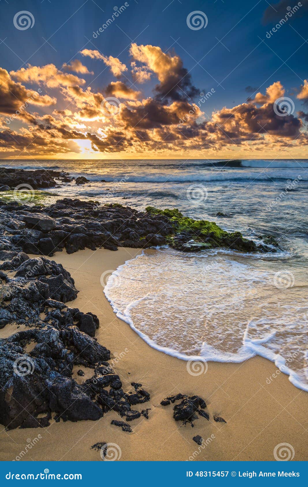 Sandy Beach Sunrise immagine stock. Immagine di paesaggio - 48315457