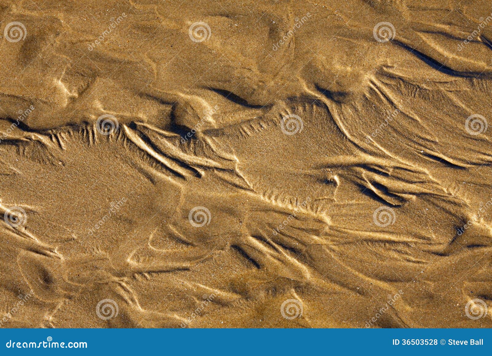 Sandy Beach Texture Background Stock Photo - Image of yellow, abstract ...