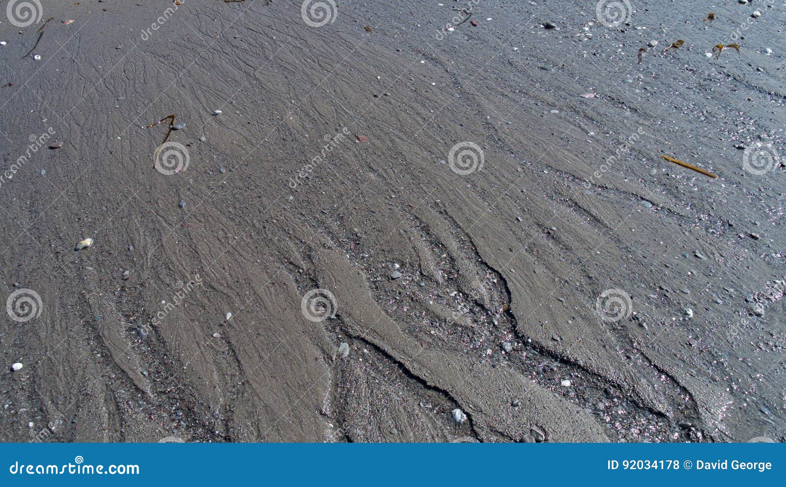 Sandy beach stock photo. Image of textures, tideline - 92034178
