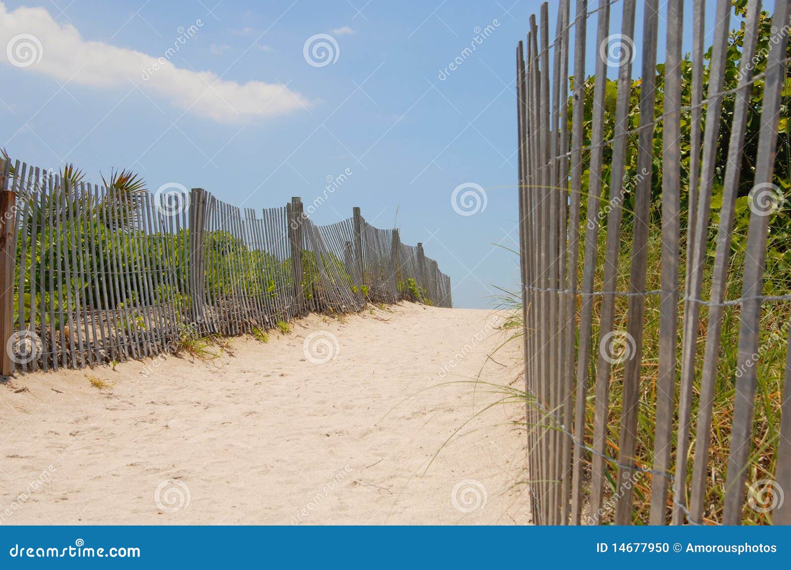 Sandy Beach Walkway stock photo. Image of destination - 14677950