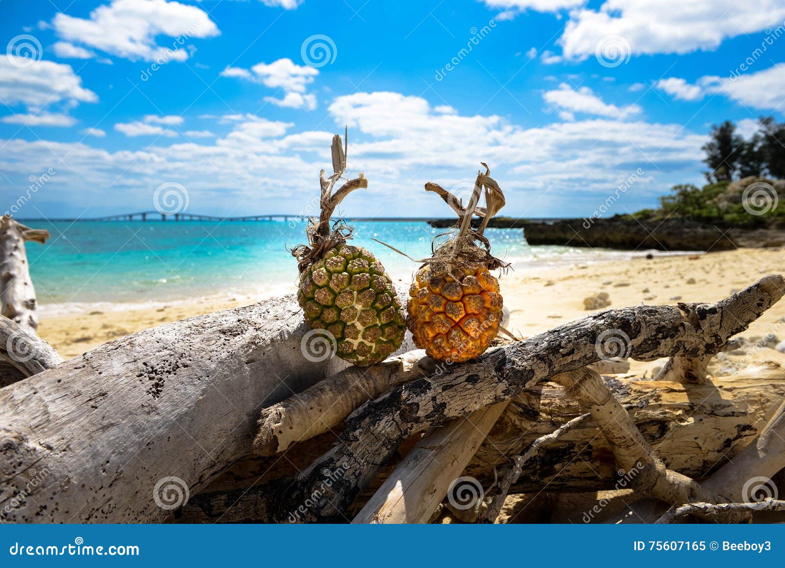 Adan Fruit Stock Image | CartoonDealer.com #35059105