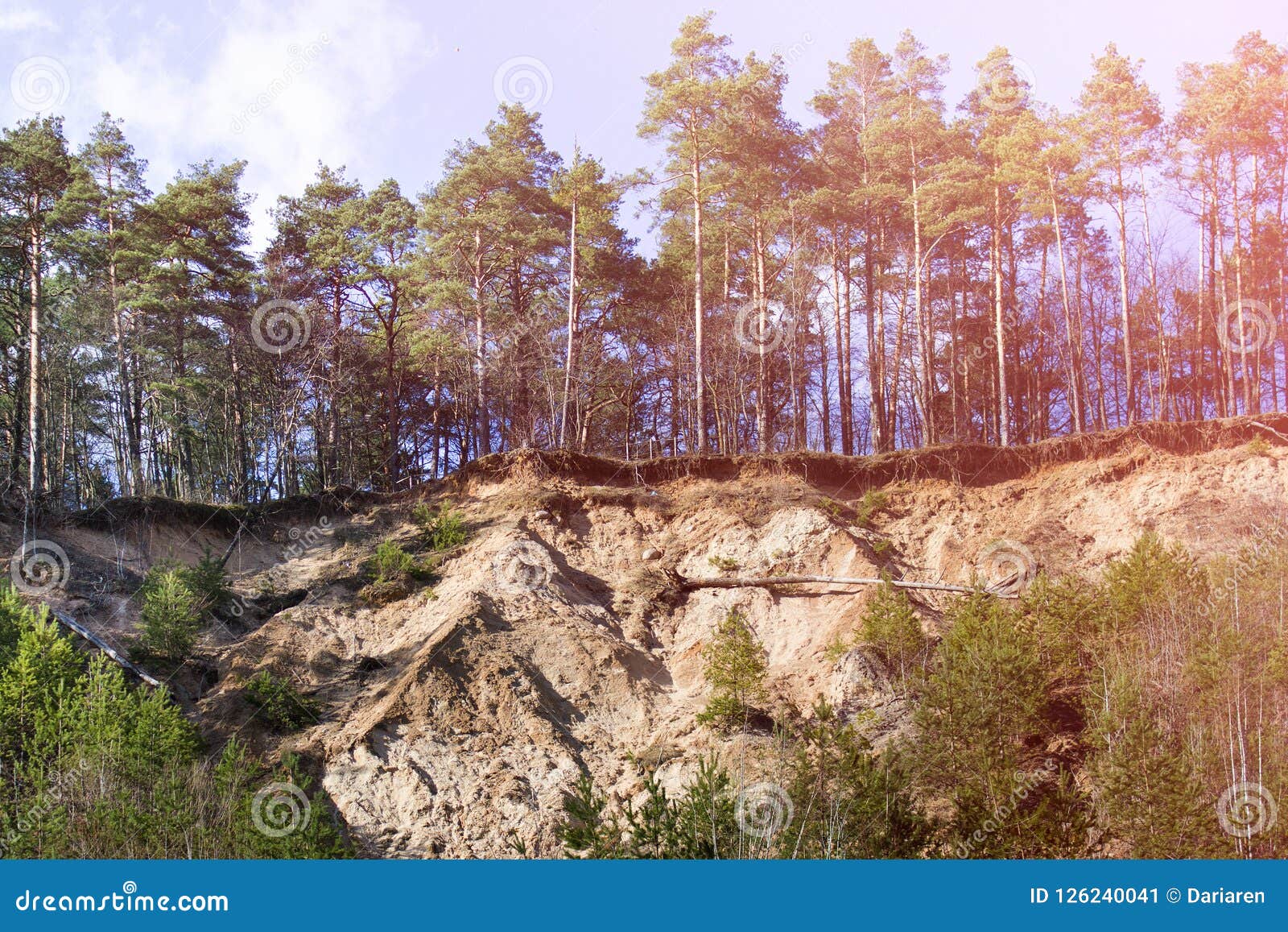 Sandy bluff in the forest. stock image. Image of spring - 126240041