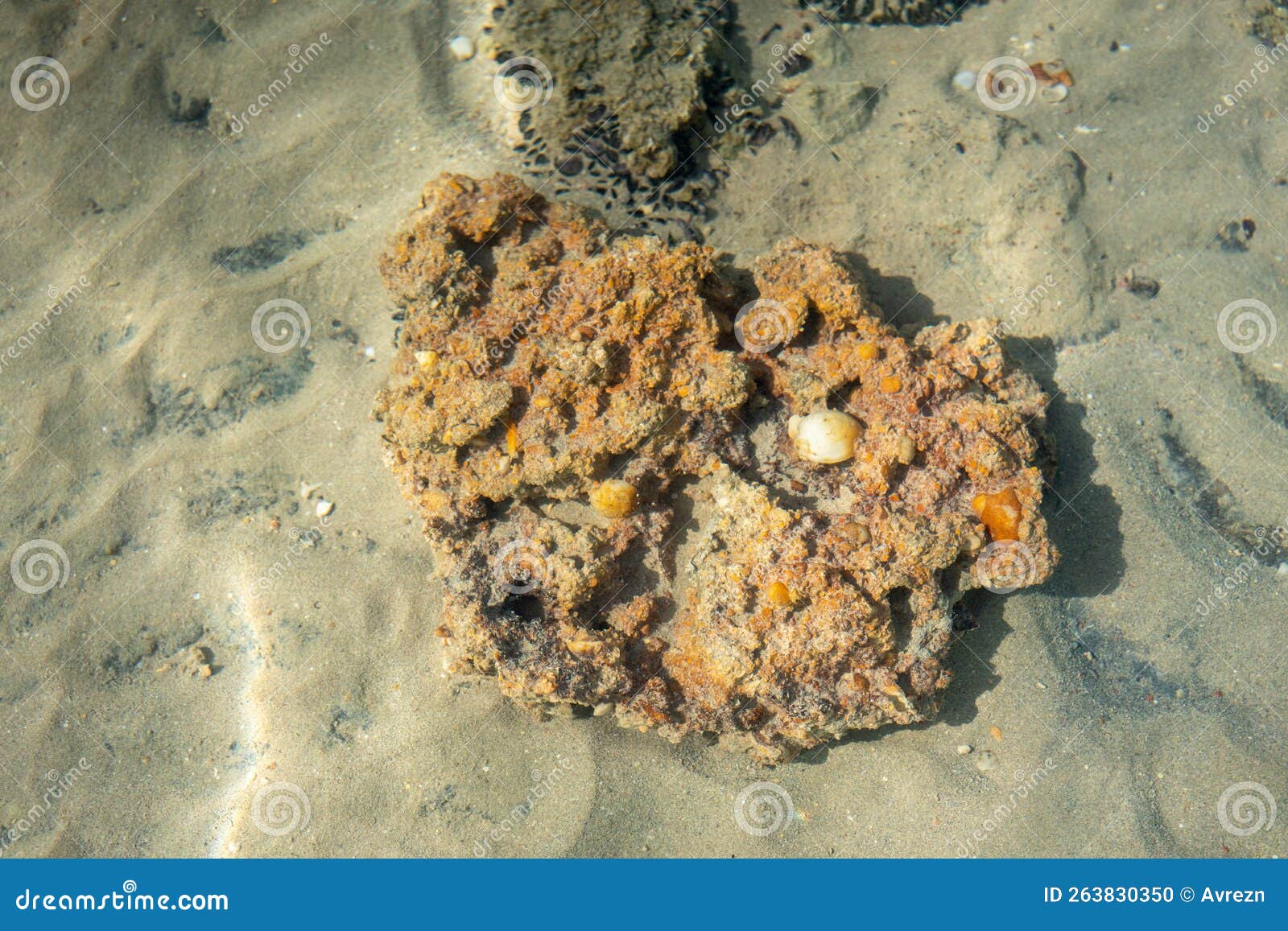 Sandy Bottom of the Red Sea at Low Tide with Ripples from the Waves ...