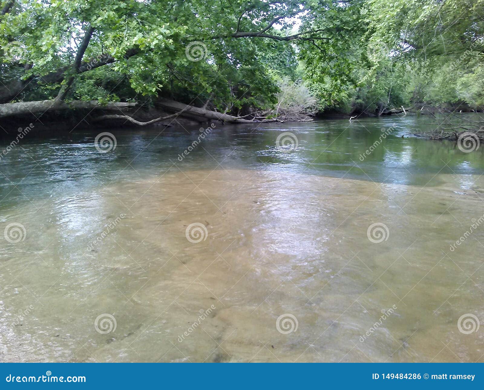 Sandy bottom river stock photo. Image of river, nature - 149484286