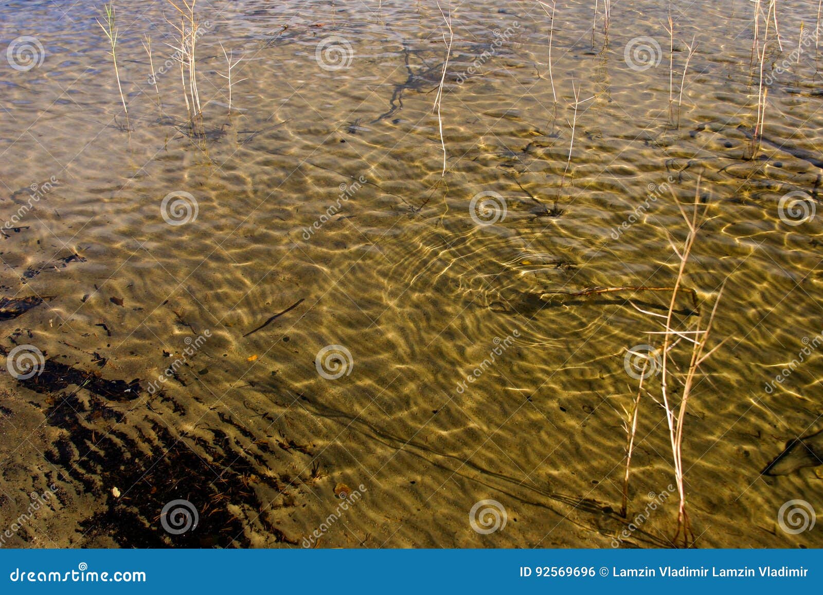 Sandy Bottom in Shallow Water. Stock Photo - Image of water, lake: 92569696