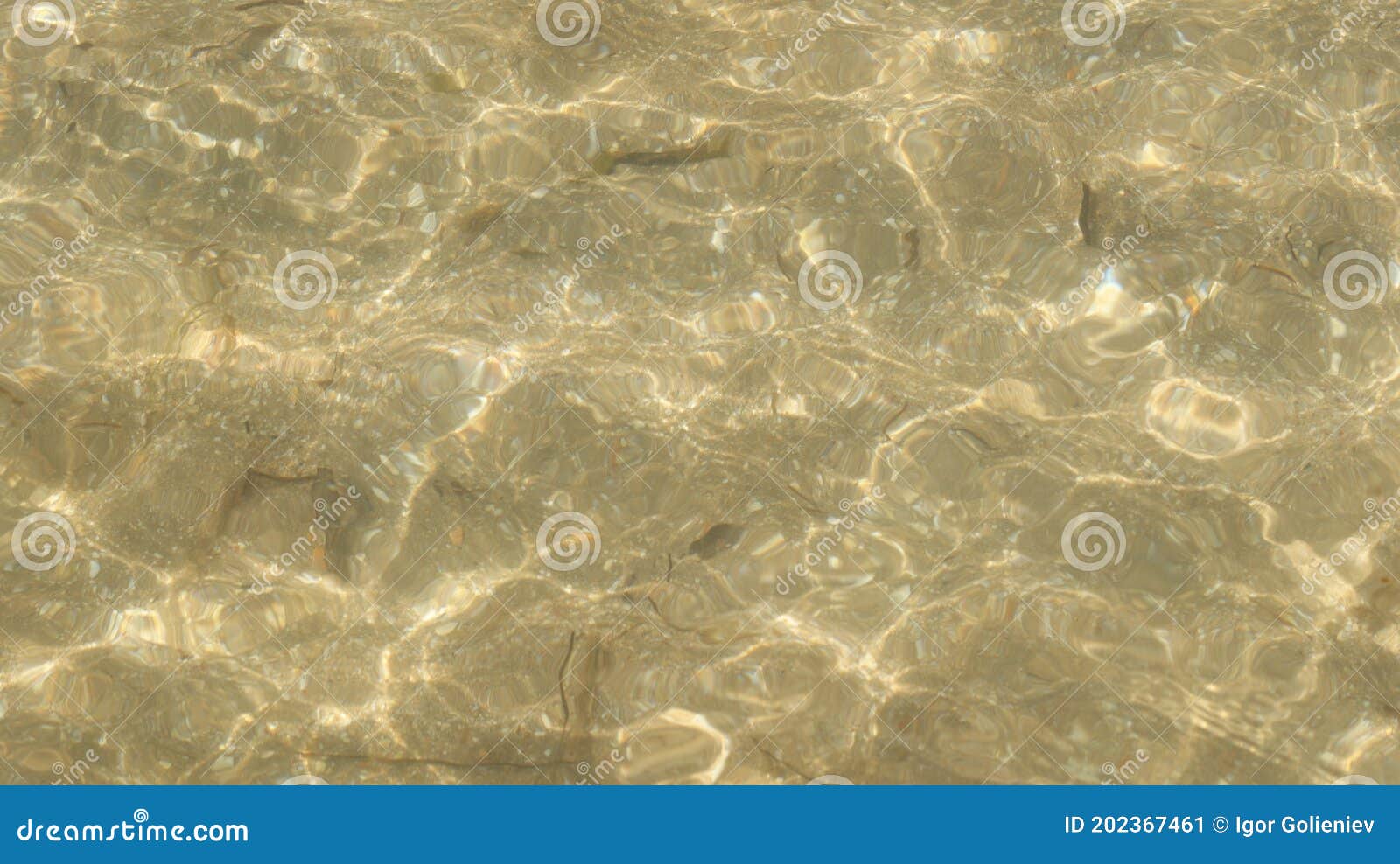 Sandy Bottom in Shallow Water. the Texture of Water and Sand Stock Image - Image of abstract ...