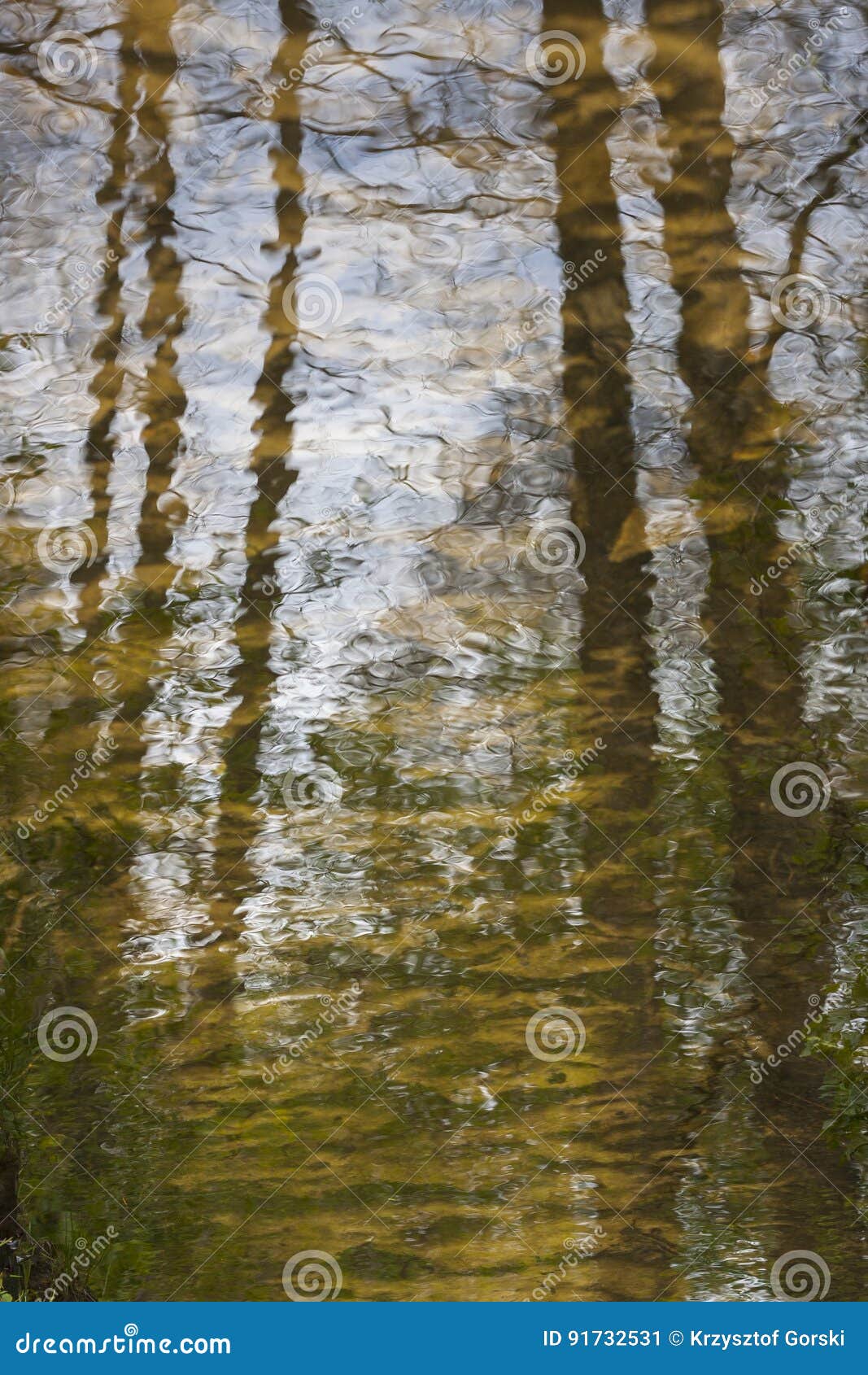 Sandy Bottom of Stream and Reflection in Water Stock Image - Image of ...