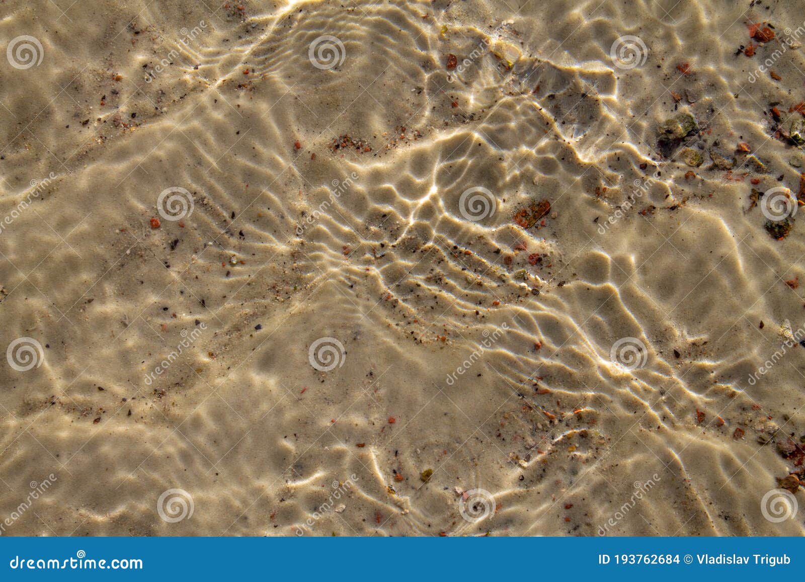 Sandy Bottom of a Transparent Reservoir, Lake, River or Stream. the ...