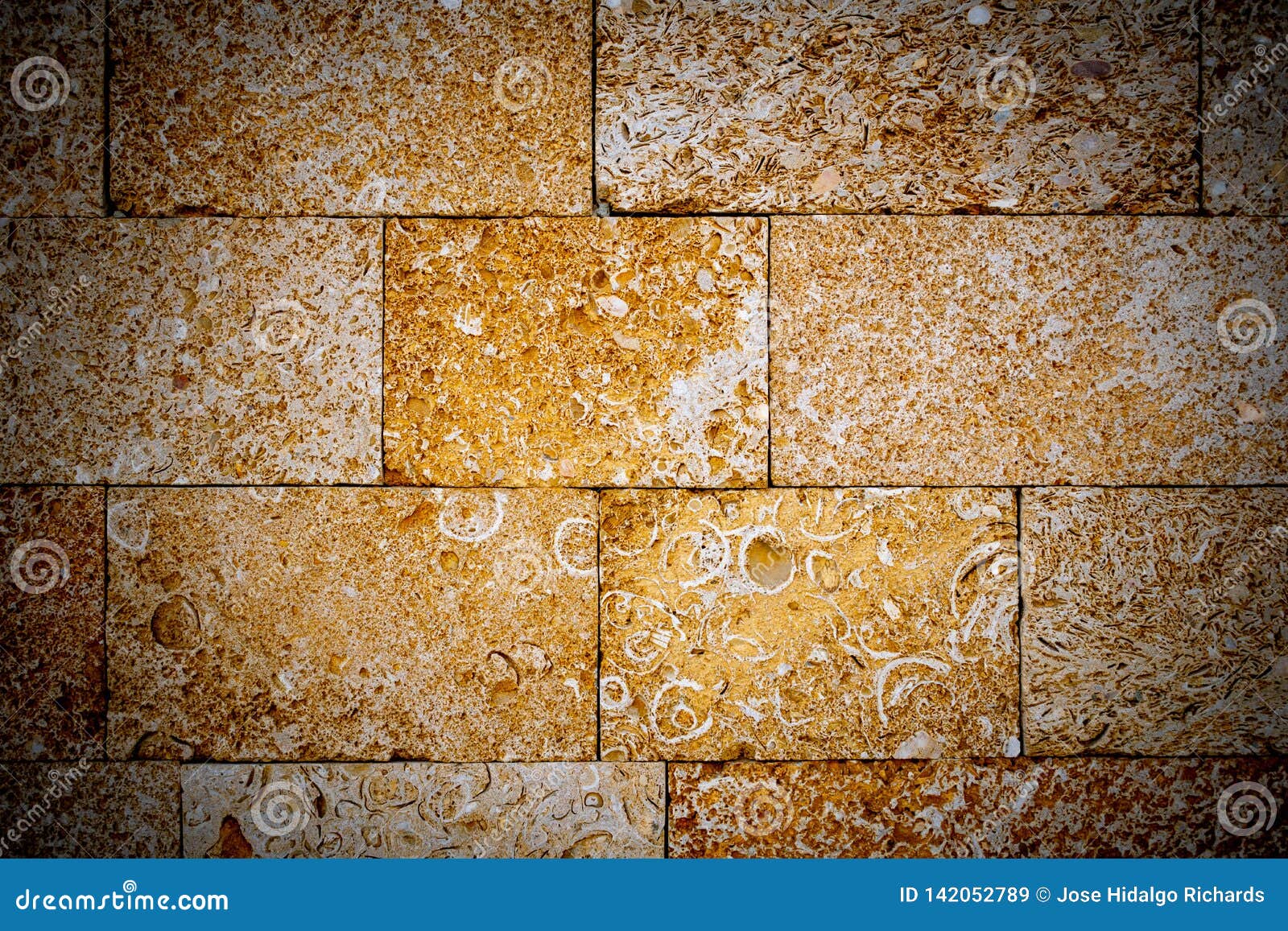 A Sandy Bricks Incrusted with Seashells Stock Image - Image of blue ...