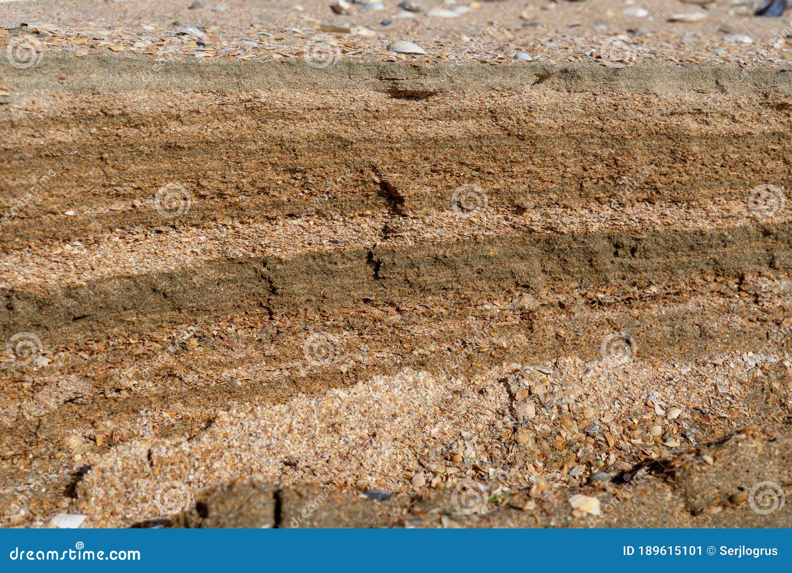 Sandy Cliff. Small Sandy Wall Stock Image - Image of geology, earth ...