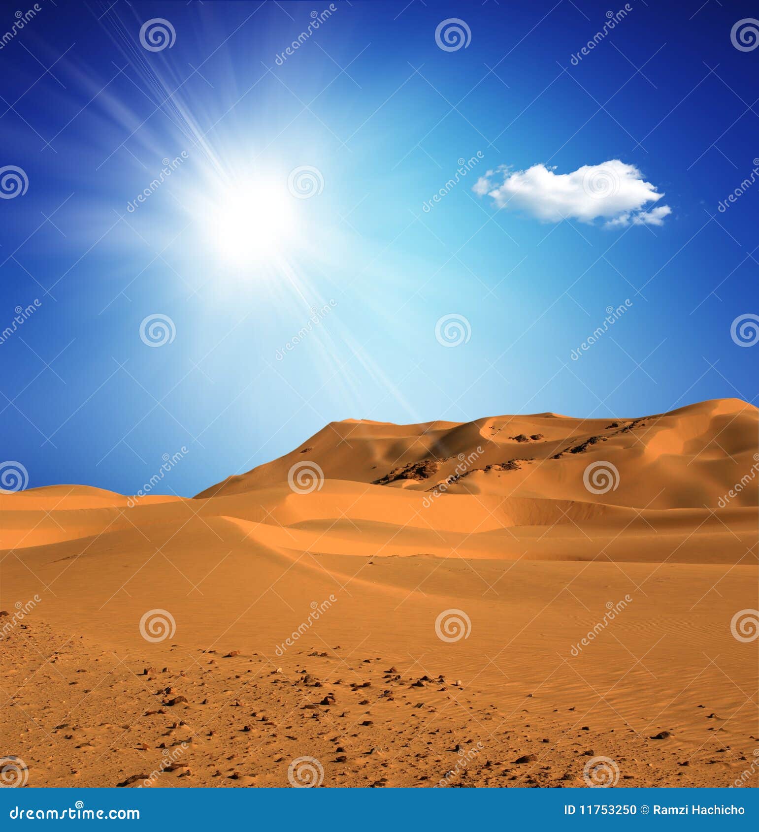 Sandy desert at daytime stock photo. Image of safari - 11753250