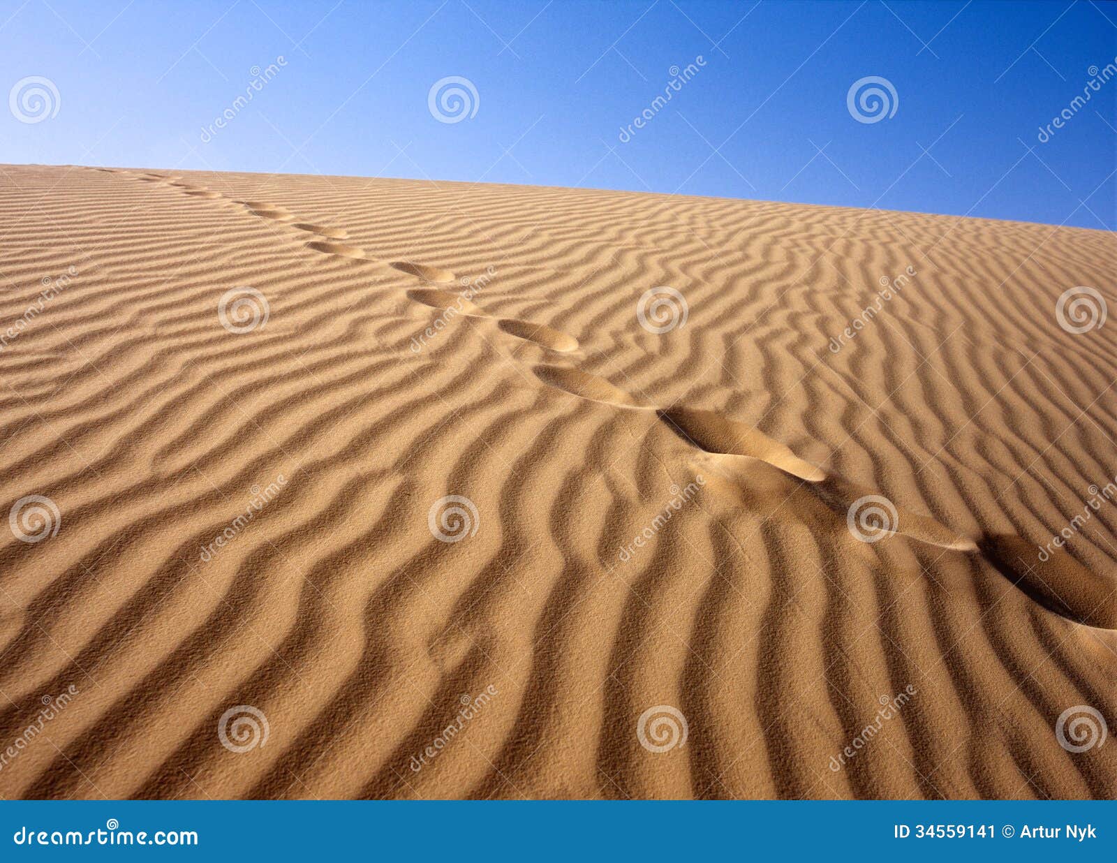 Sandy desert, Sahara stock image. Image of area, blue - 34559141