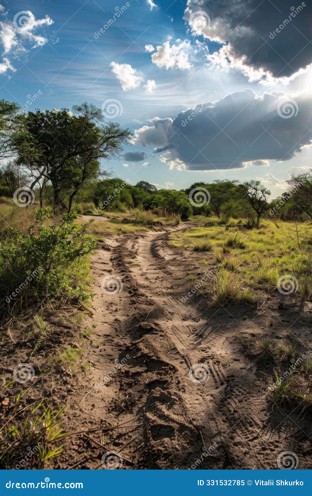 A Sandy Dirt Path Winds through the Green African Wilderness Under a ...