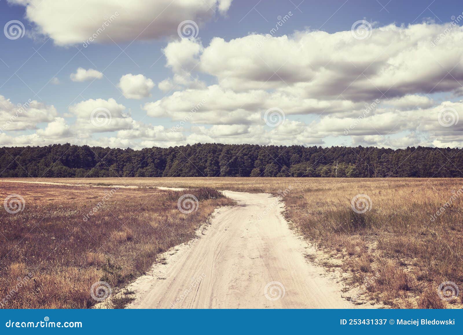 Sandy Dirt Texture Stock Image | CartoonDealer.com #10543879