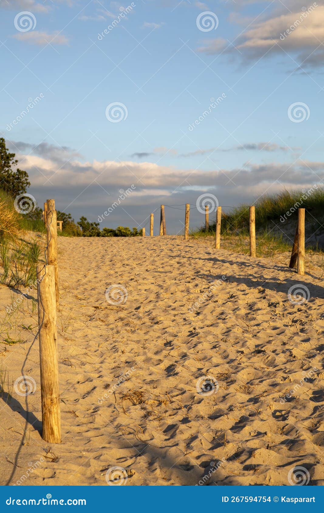 Sandy Dune Beach Crossing in Warm Evening Lighting Stock Photo - Image ...
