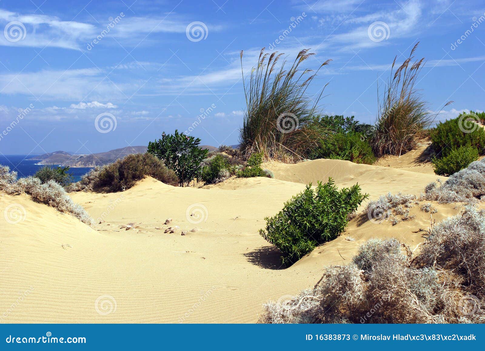 Sandy dunes stock image. Image of rock, desert, bush - 16383873