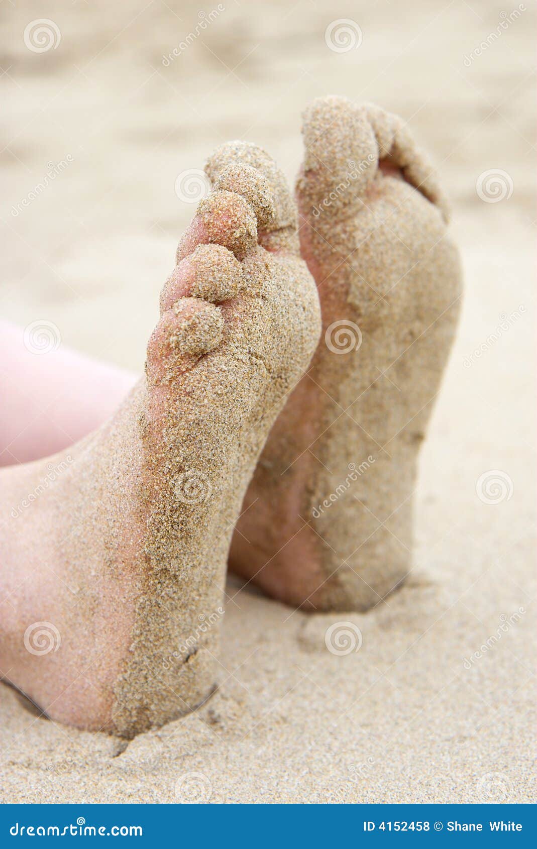 Sandy feet stock photo. Image of toes, children, foot - 4152458