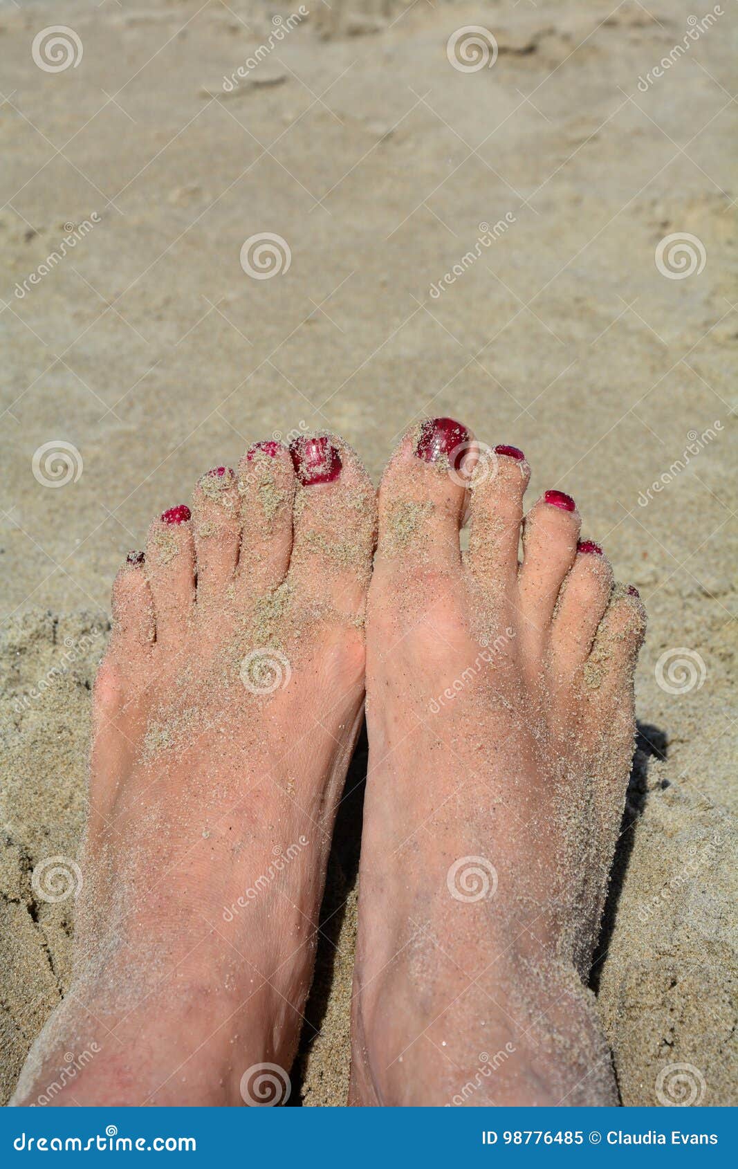 Sandy Feet with Red Toenails on the Beach Stock Image - Image of ...