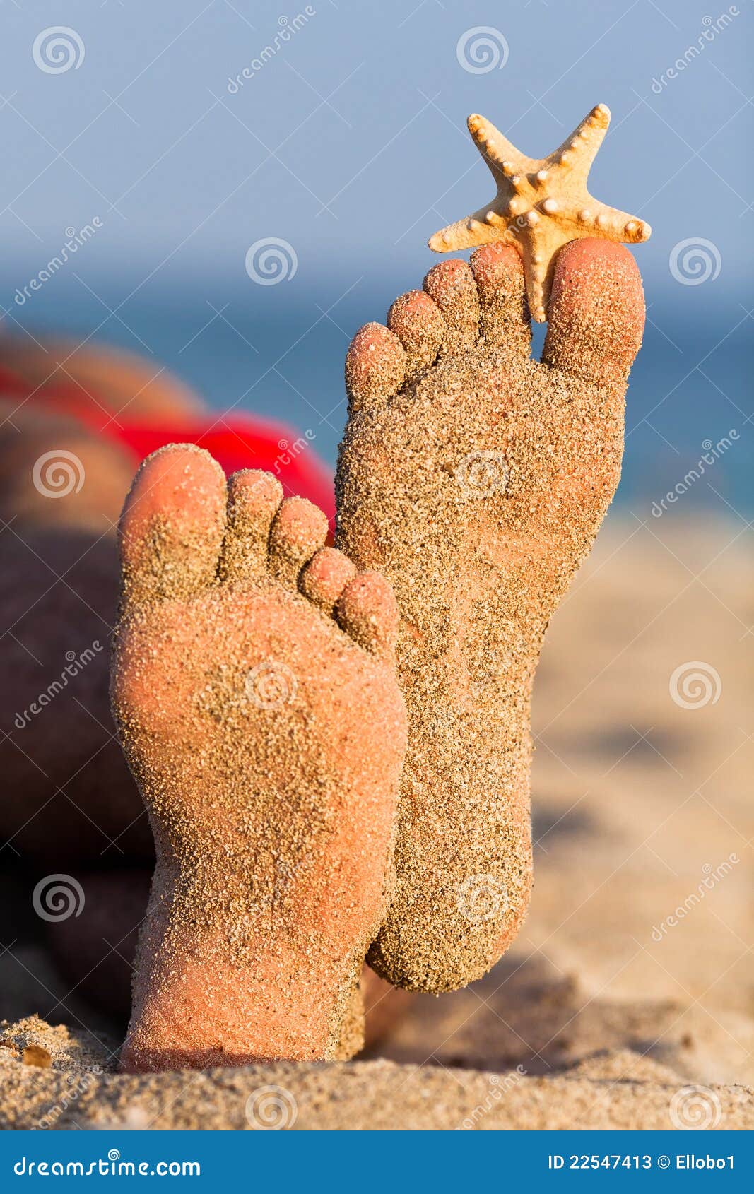 Sandy feet with starfish. stock image. Image of coast - 22547413