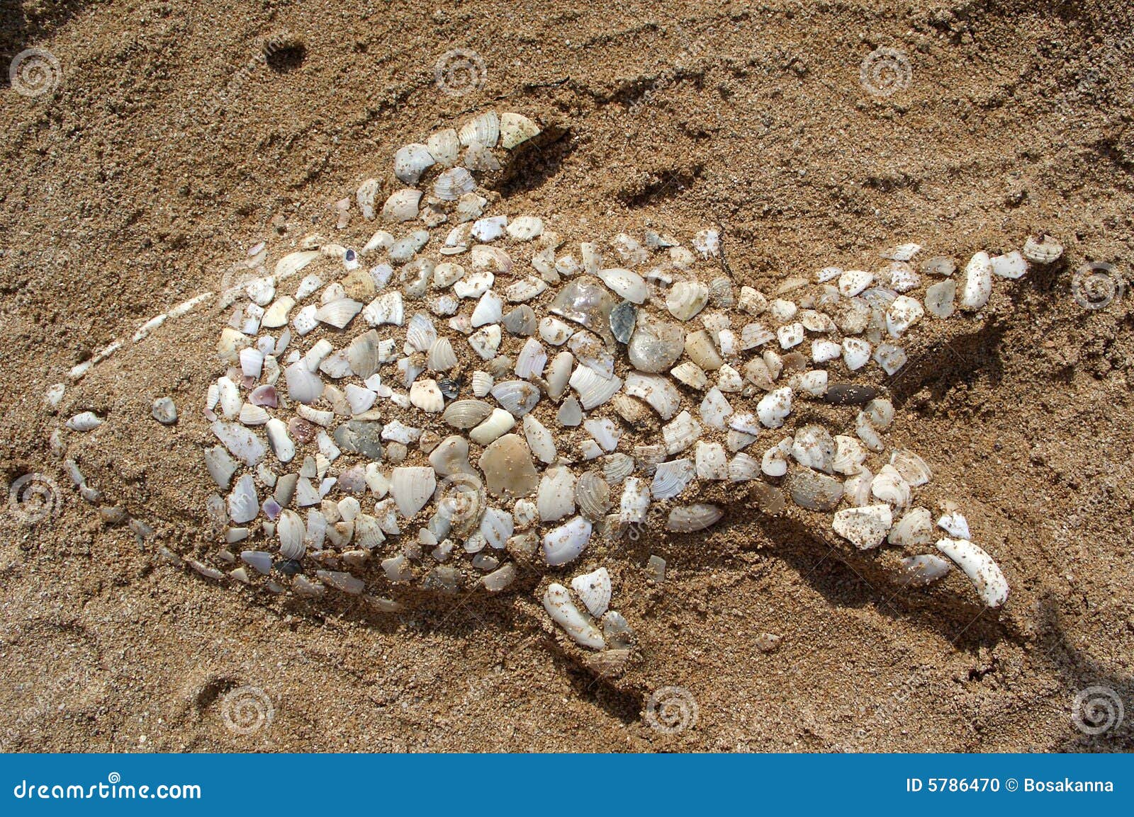 Sandy Fish Stock Photo - Image: 5786470