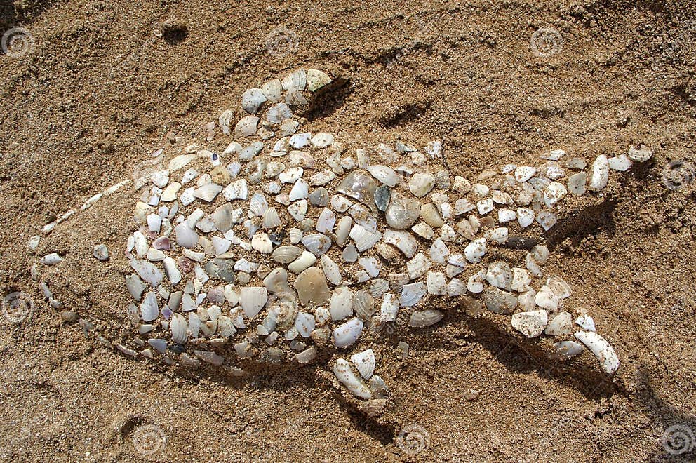 Sandy fish stock photo. Image of prominent, handy, grain - 5786470