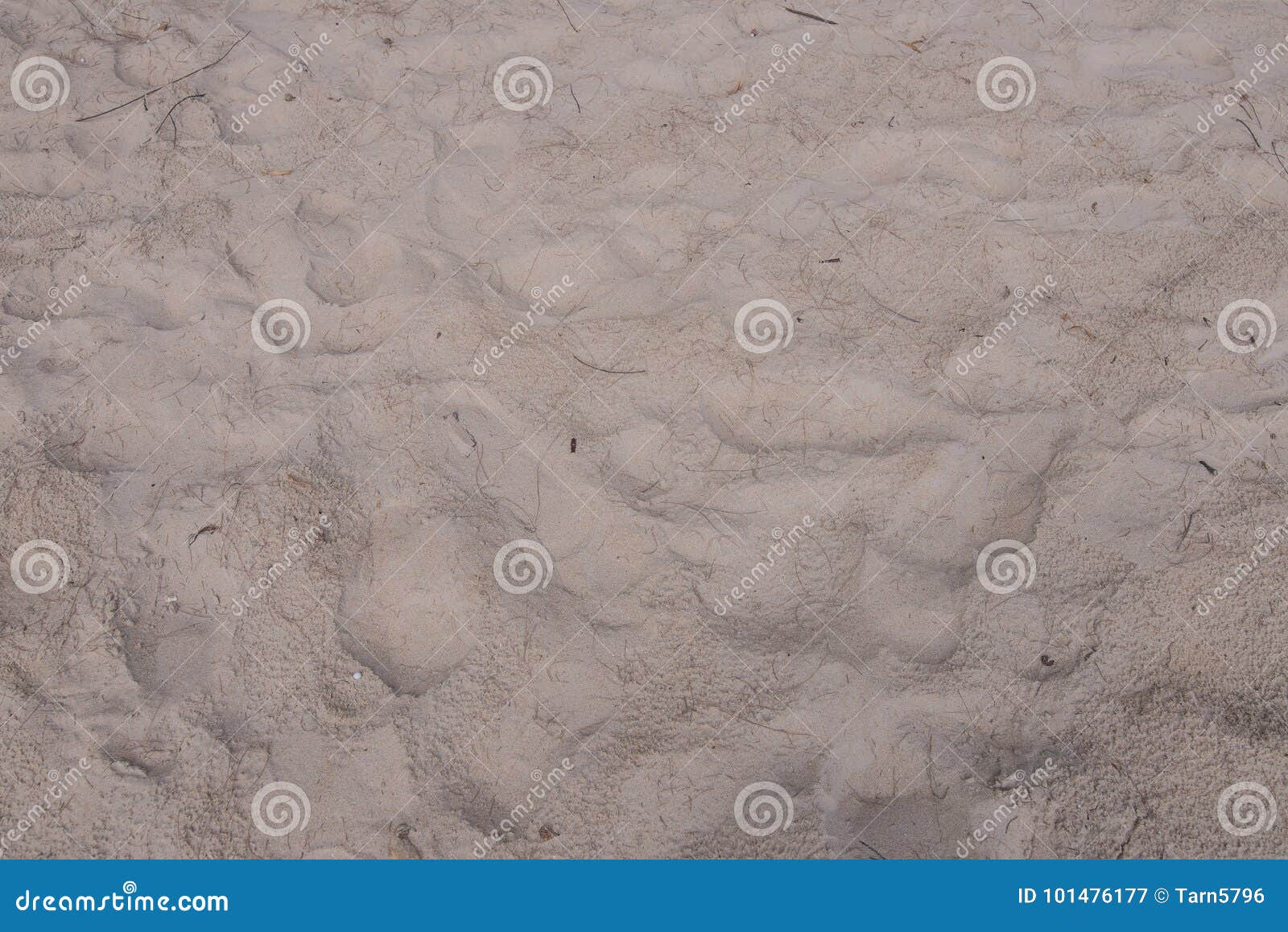 Sandy floor stock image. Image of desert, natural, sandy - 101476177