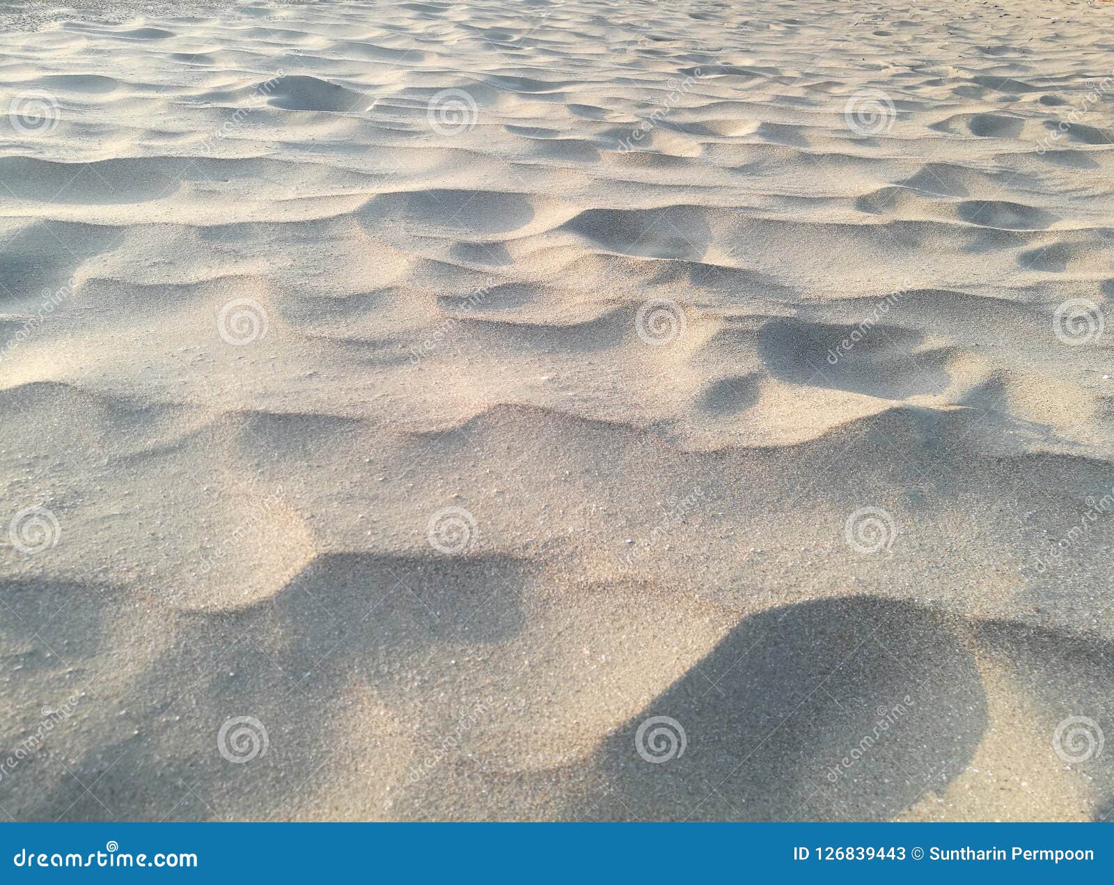 Sandy Floor Background. Texture of Gray Sand on the Beach Stock Image ...