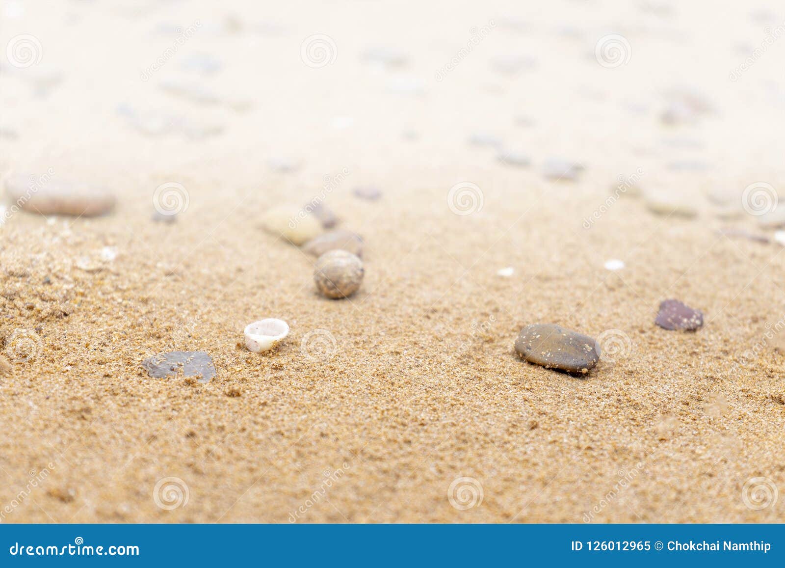 Sandy Floor on the Beach and Shells and Stones Stock Image - Image of ...