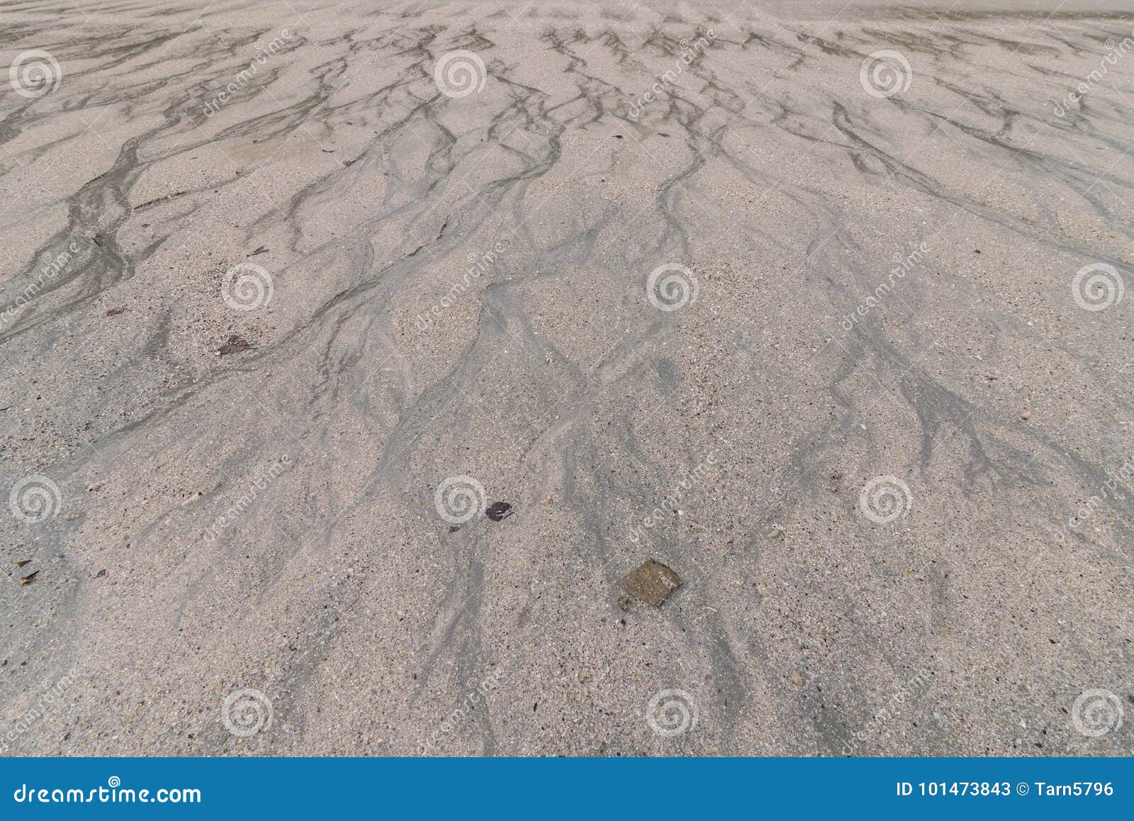 Sandy floor stock image. Image of dirt, thailand, arid - 101473843