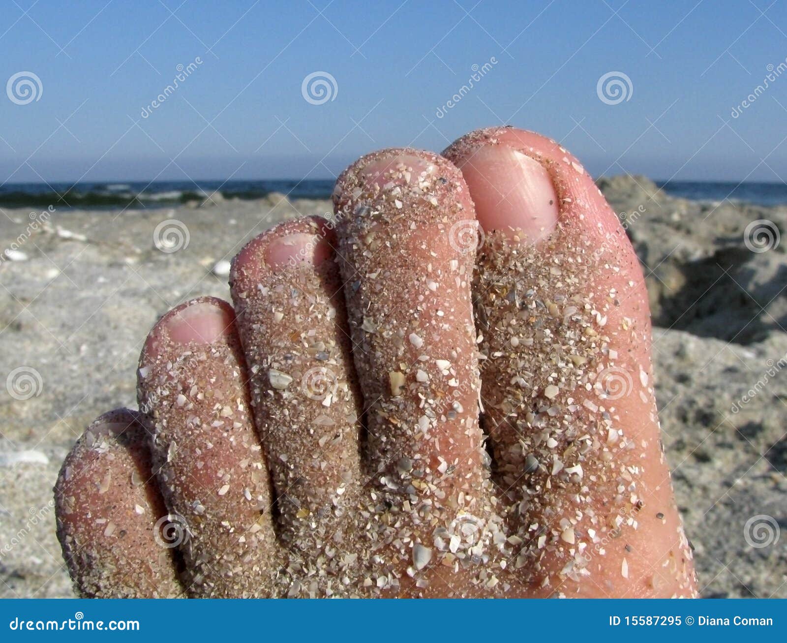 Sandy Foot - Toes at Seaside Stock Image - Image of finger, relax: 15587295