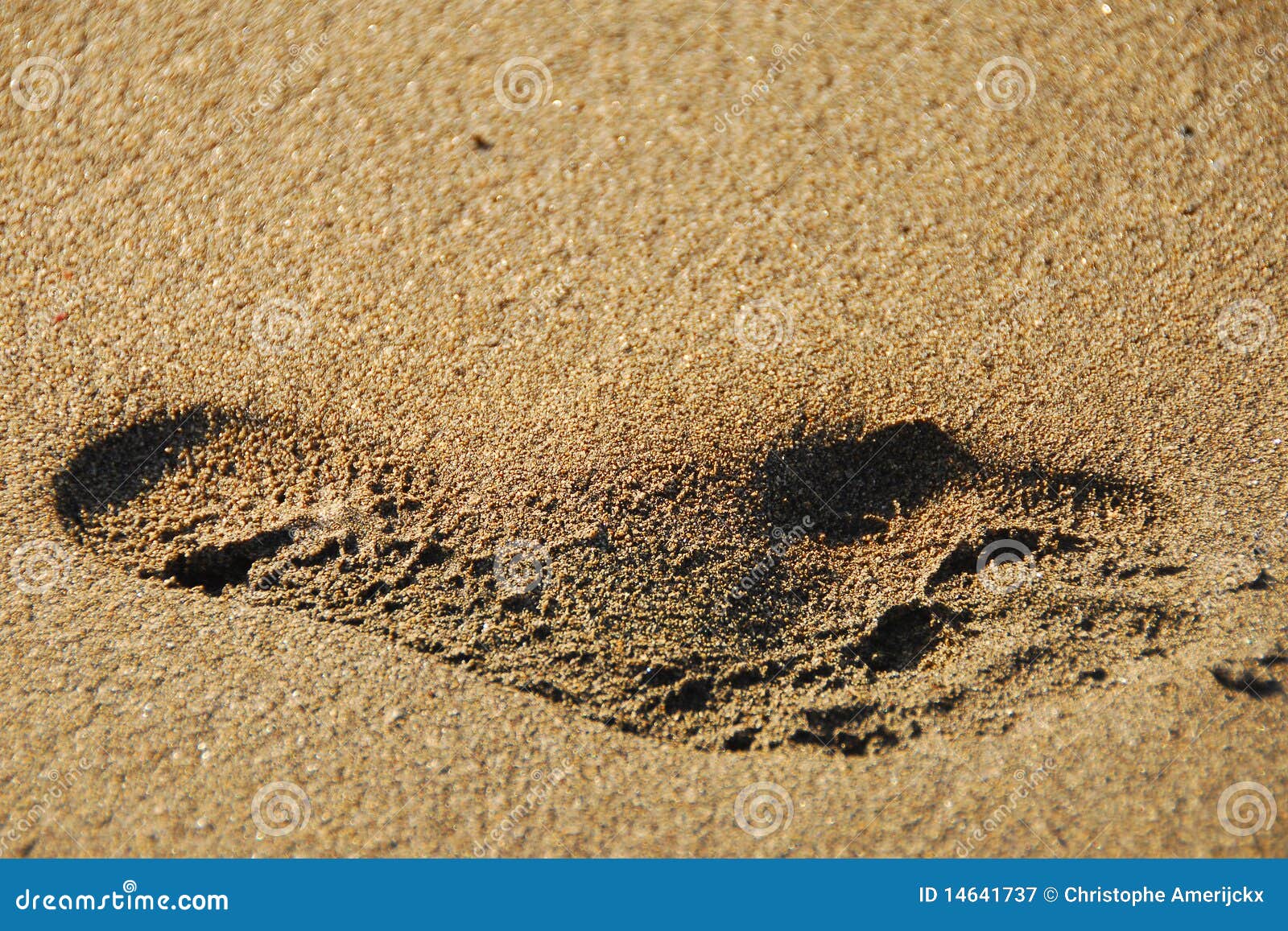 Sandy footprint stock image. Image of path, travel, foot - 14641737