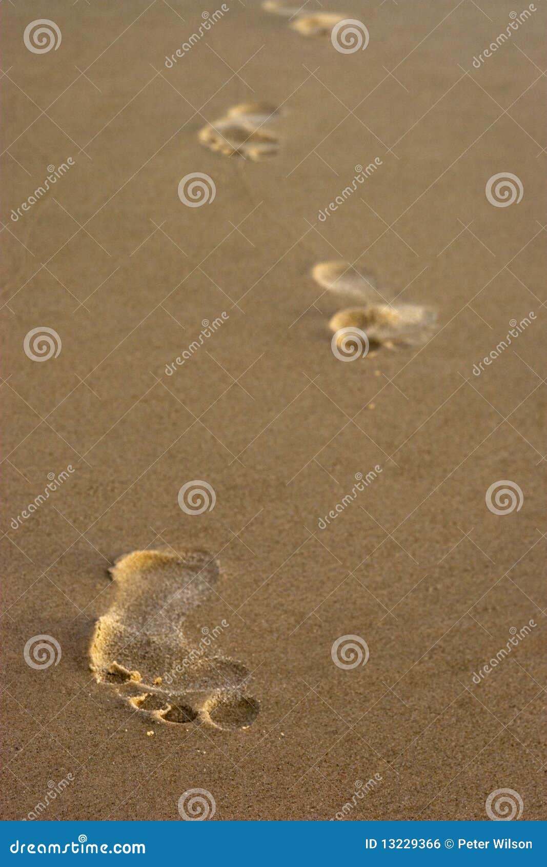 Sandy Footprints stock photo. Image of shore, feet, sand - 13229366