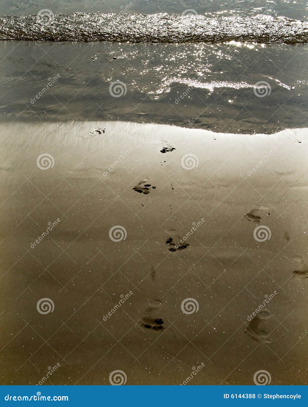 Sandy Footprints Picture. Image: 6144388