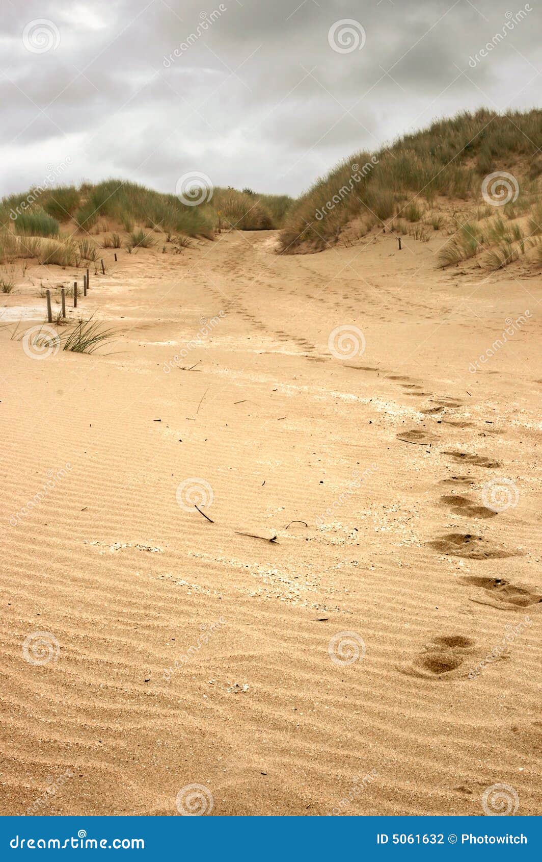 Sandy footsteps stock photo. Image of paradise, coast - 5061632