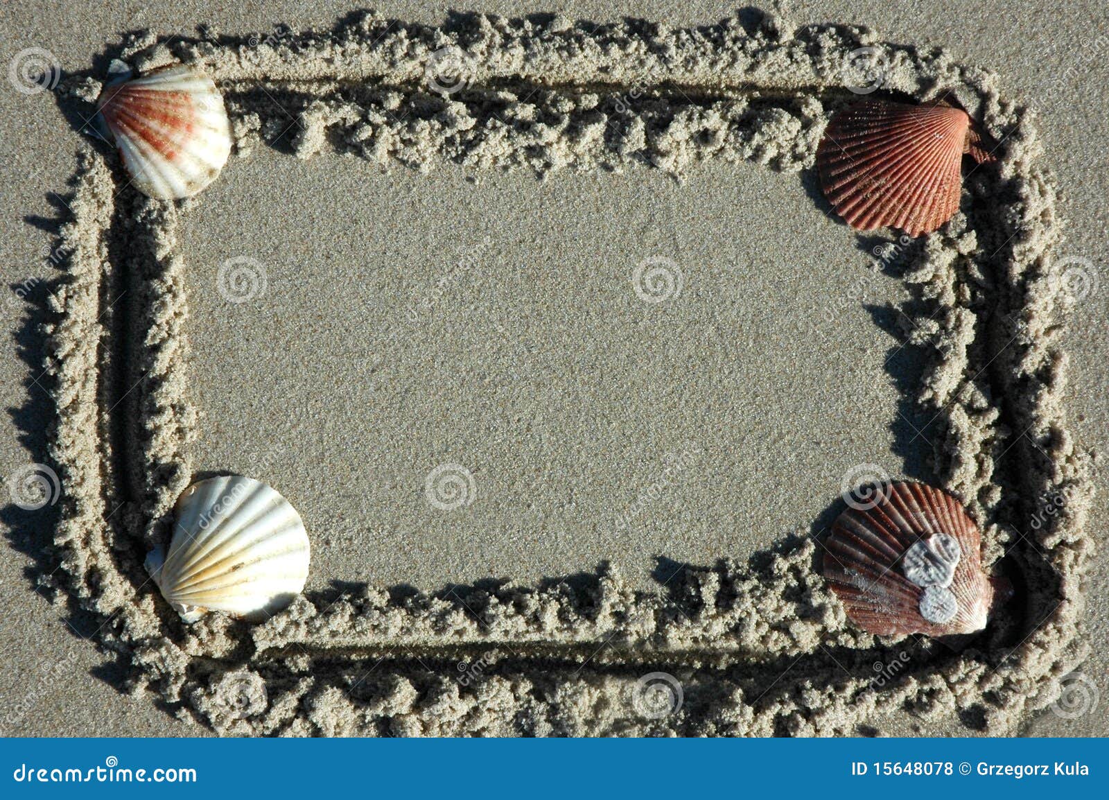 Sandy frame stock photo. Image of shell, background, empty - 15648078