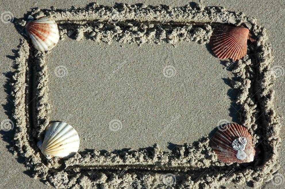 Sandy frame stock photo. Image of shell, background, empty - 15648078