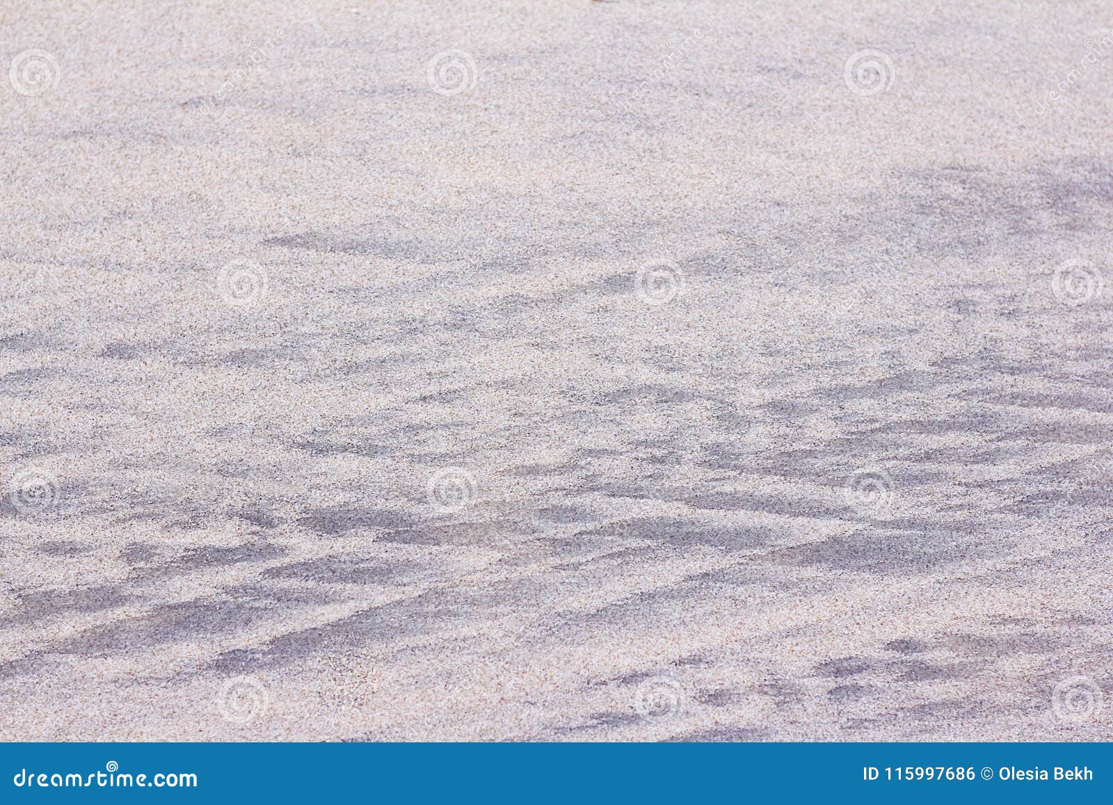 Sandy beach texture stock photo. Image of beach, close - 115997686
