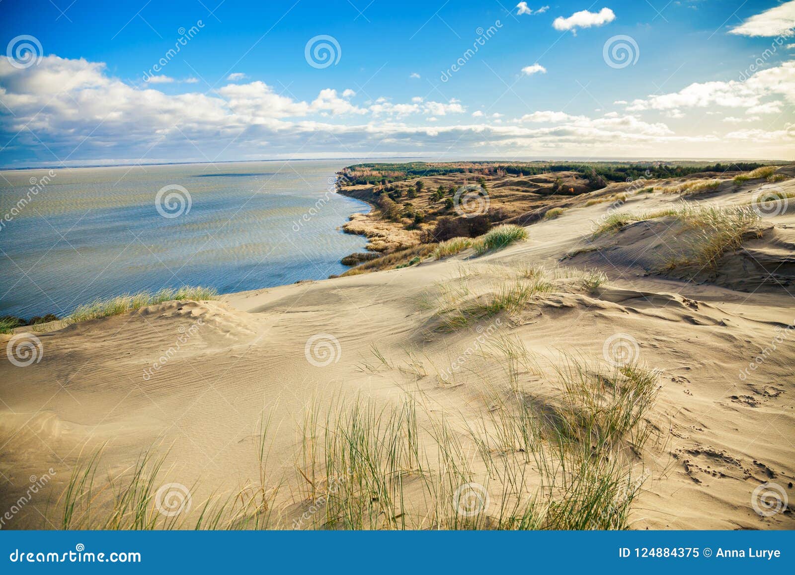 Sandy Grey Dunes stock image. Image of hedge, national - 124884375