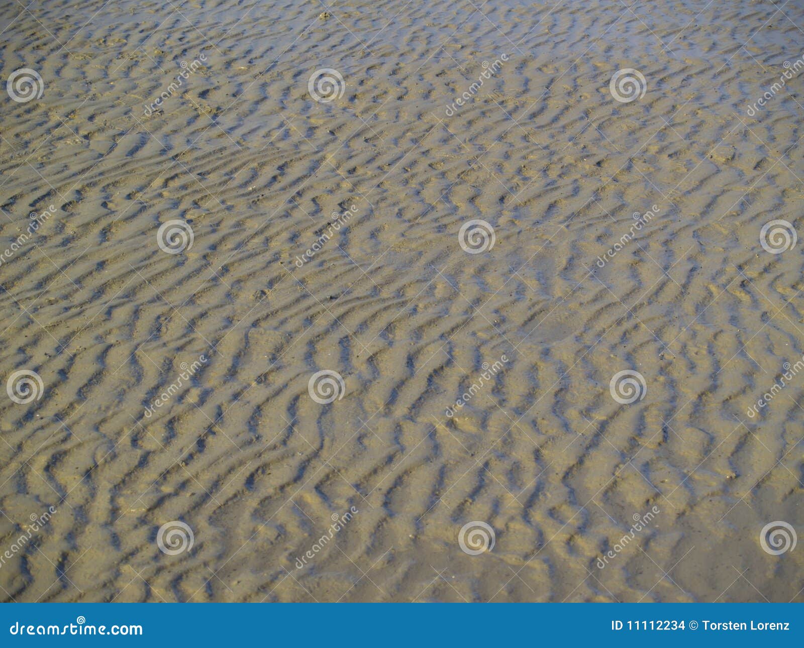 Sandy ground of mudflat stock photo. Image of beach, sand - 11112234