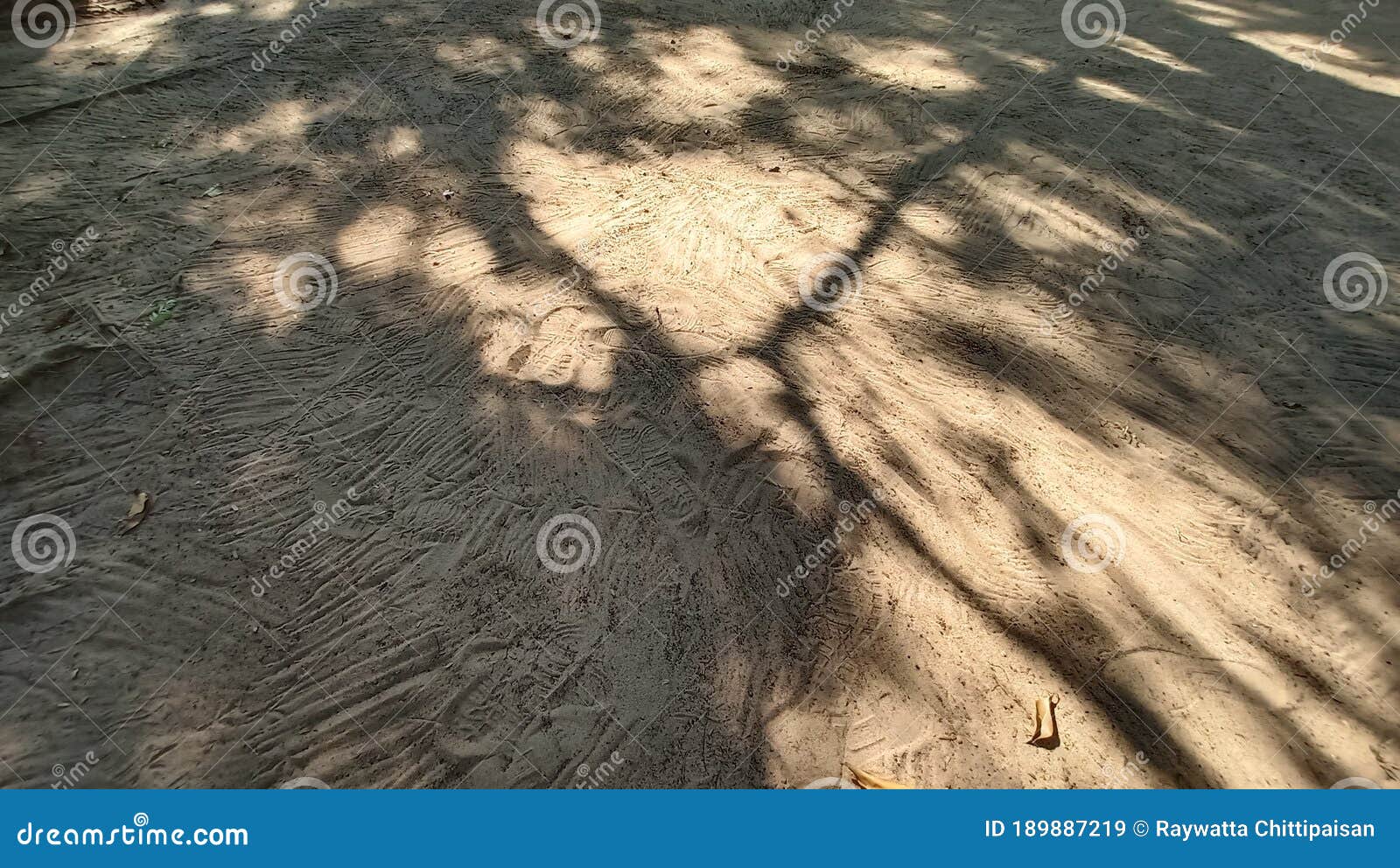 Sandy ground under shade stock image. Image of tree - 189887219