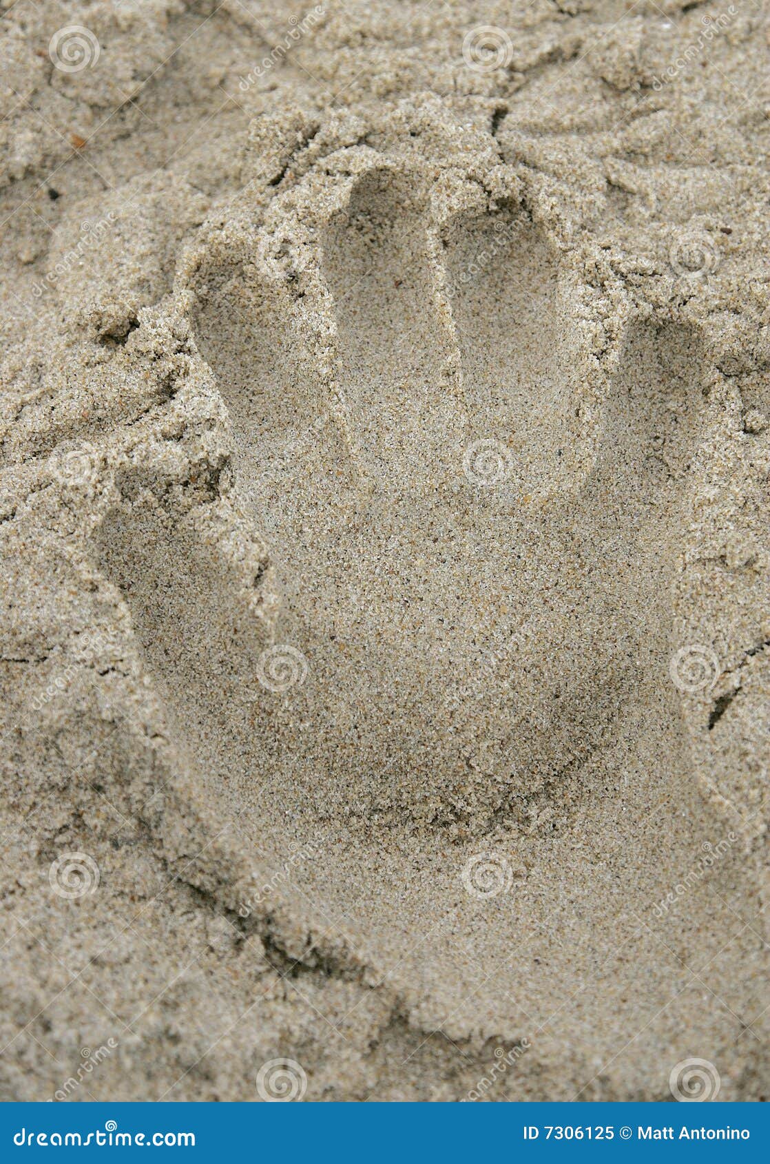 Sandy hand print stock image. Image of fingers, identity - 7306125