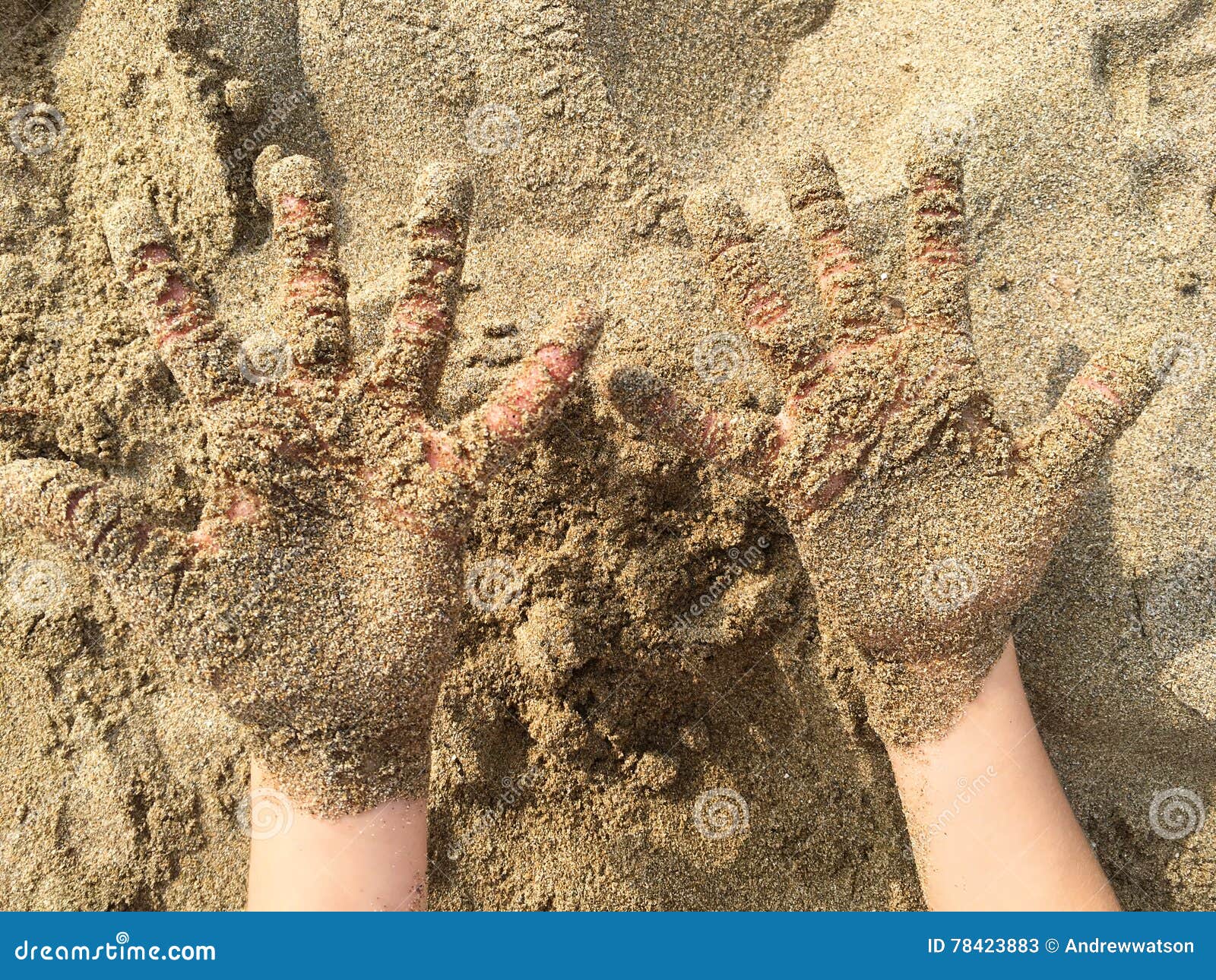 Sandy Hands stock image. Image of nature, child, sunny - 78423883