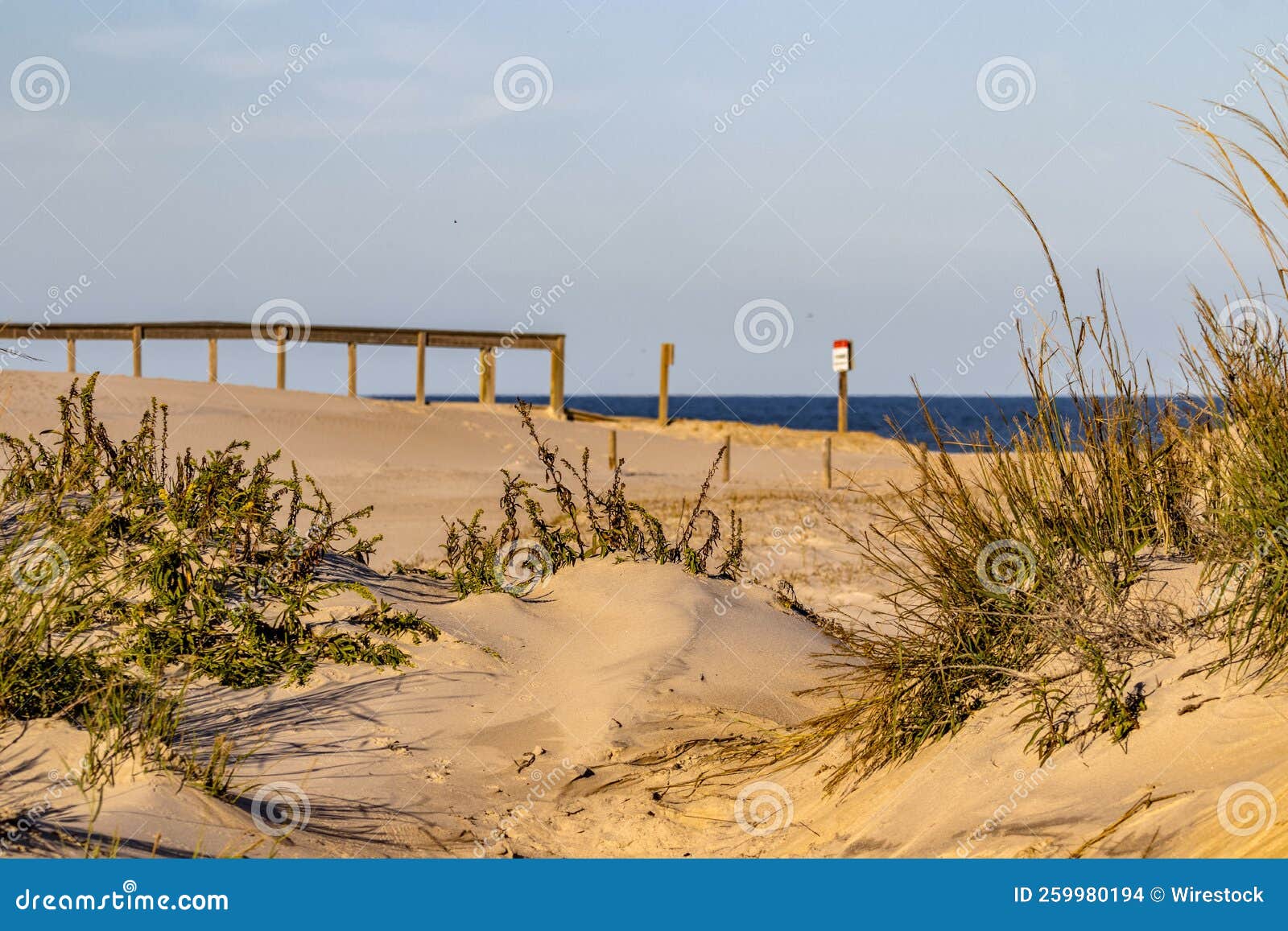 Sandy Hill with Green Plants on Them on the Beach Stock Photo - Image ...