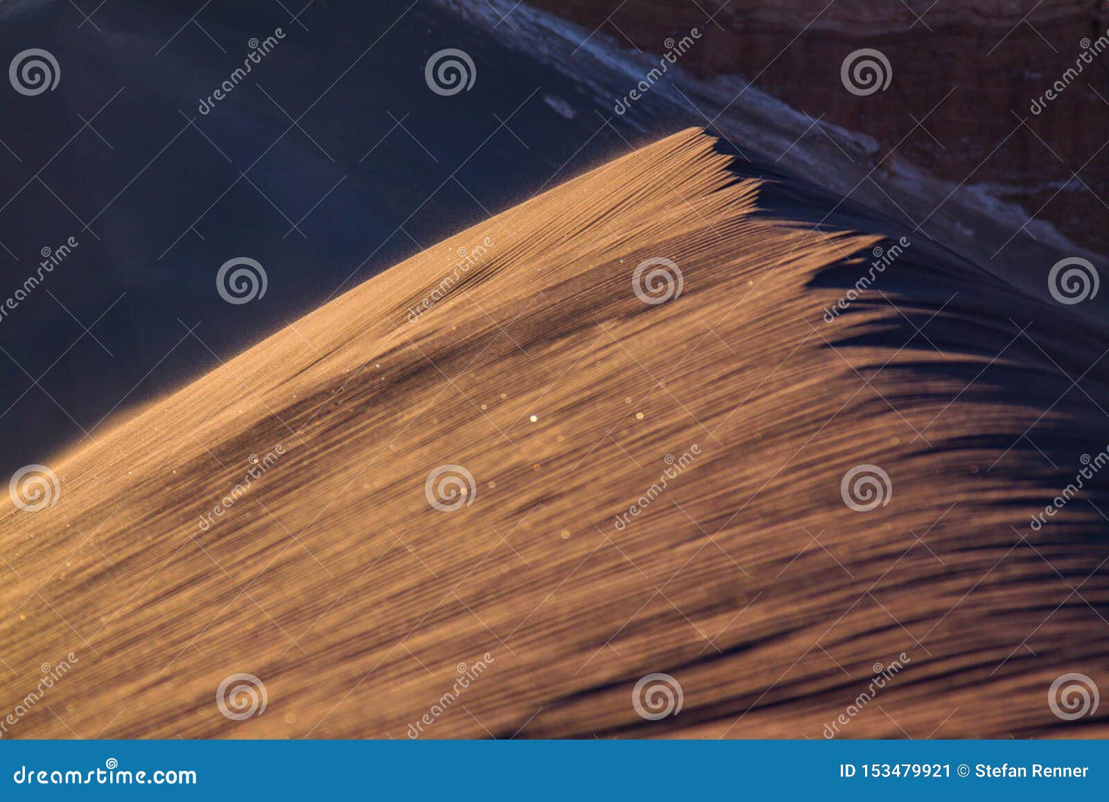 Sandy light shade stock image. Image of withered, desert - 153479921