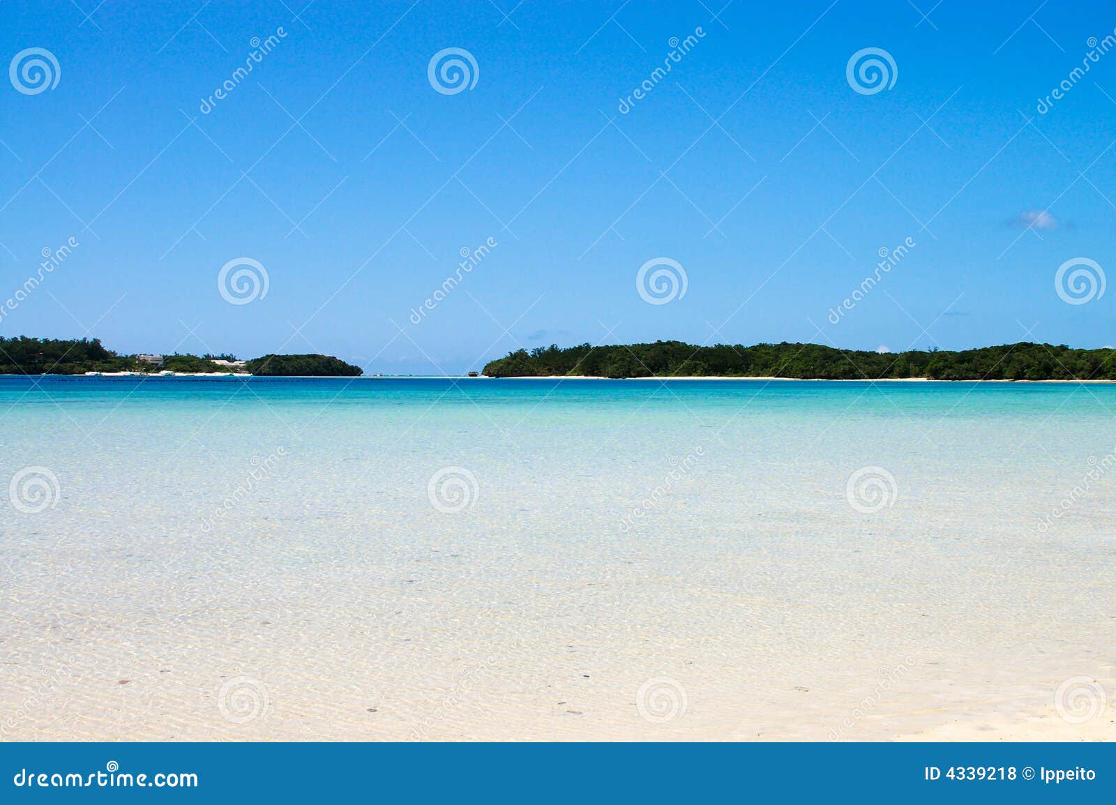Sandy natural inlet stock photo. Image of jungle, nature - 4339218