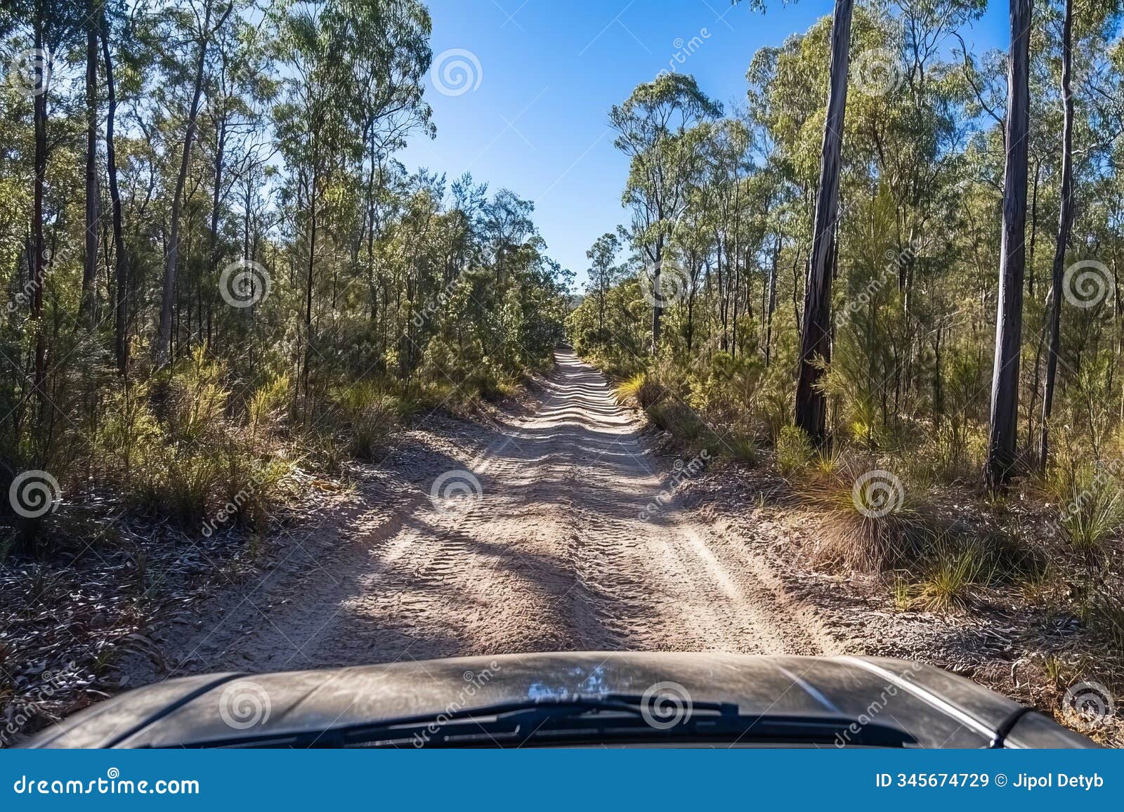 Sandy Off Road Bush Track in the Outback Forest. Stock Image - Image of ...